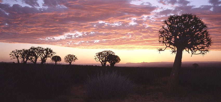 Celebrate the spectacular Gondwana Canyon Park