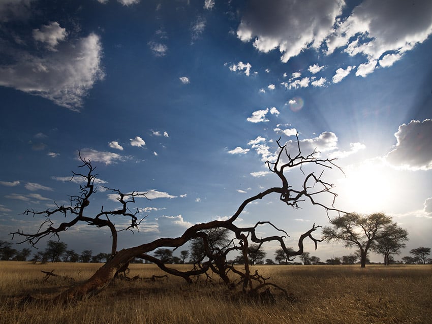 Namibia, land for adventurers and dreamers